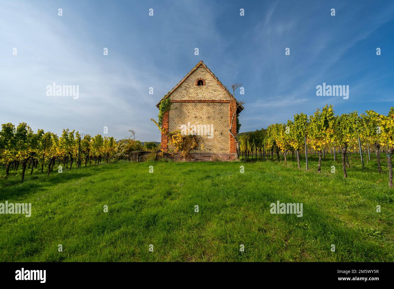 Vineyard watchtower hi-res stock photography and images - Alamy
