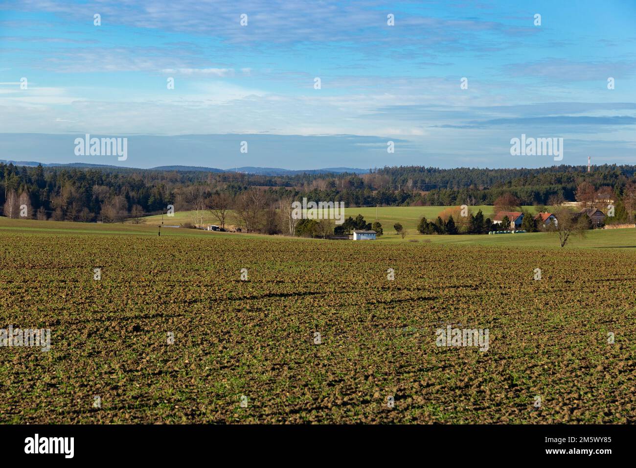Snowless winter in Europe. Green fields Stock Photo - Alamy