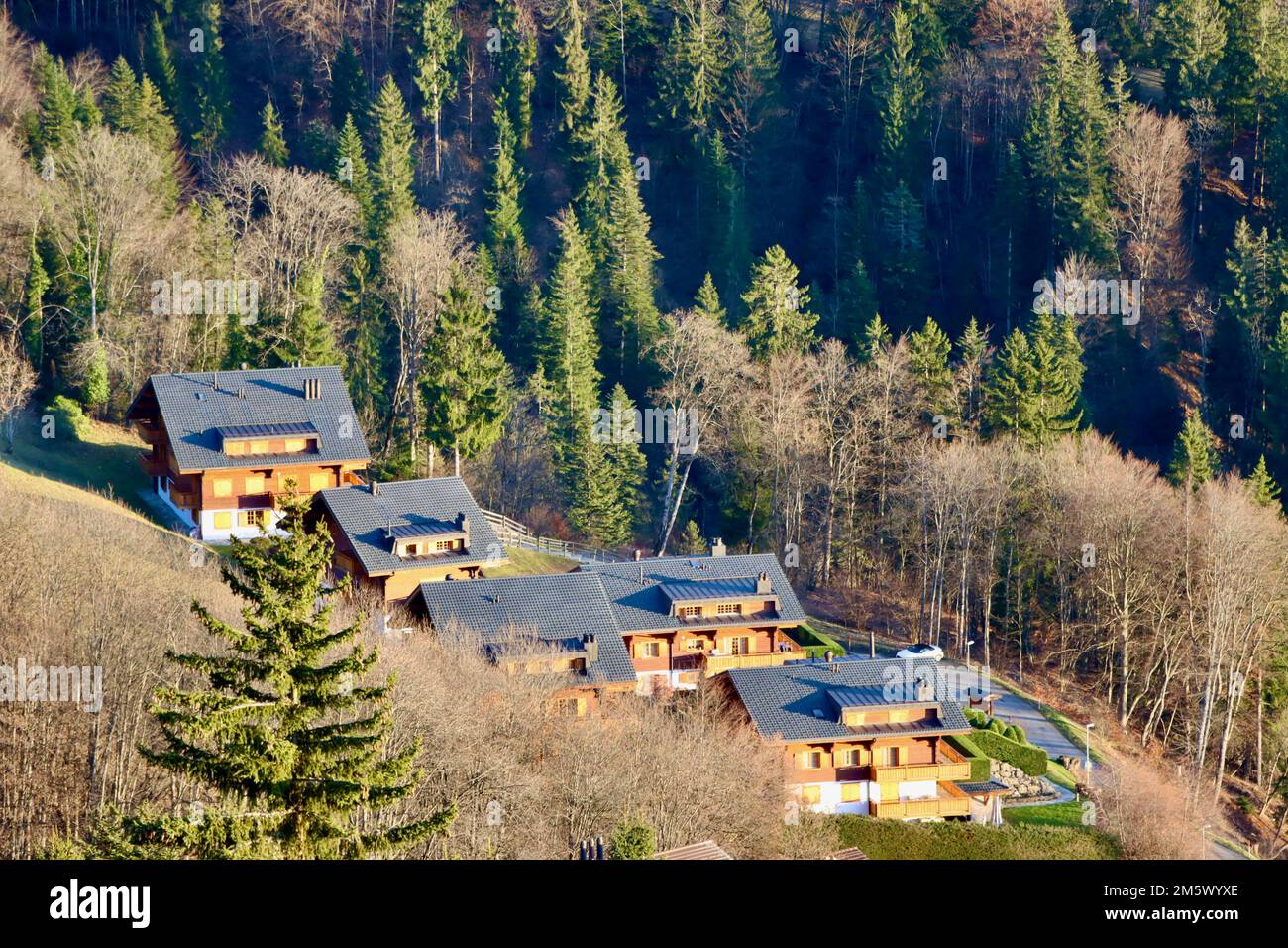 Chalets on the mountainside below Villars sur Ollon in Switzerland late ...