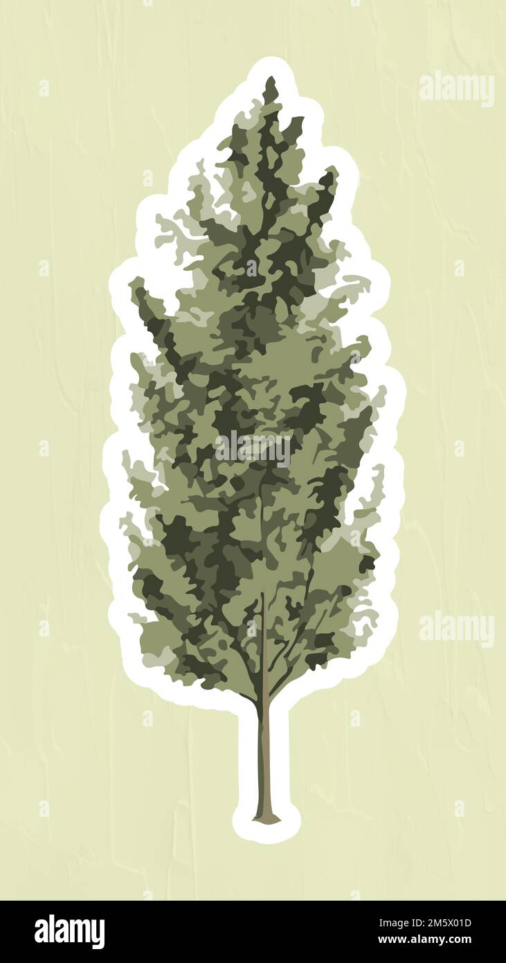 Vectorized spruce tree sticker overlay with a white border on a sage ...