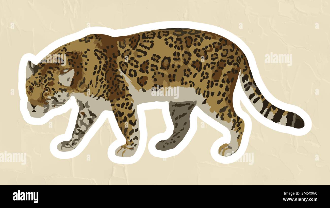 Vectorized jaguar sticker overlay with a white border design element ...
