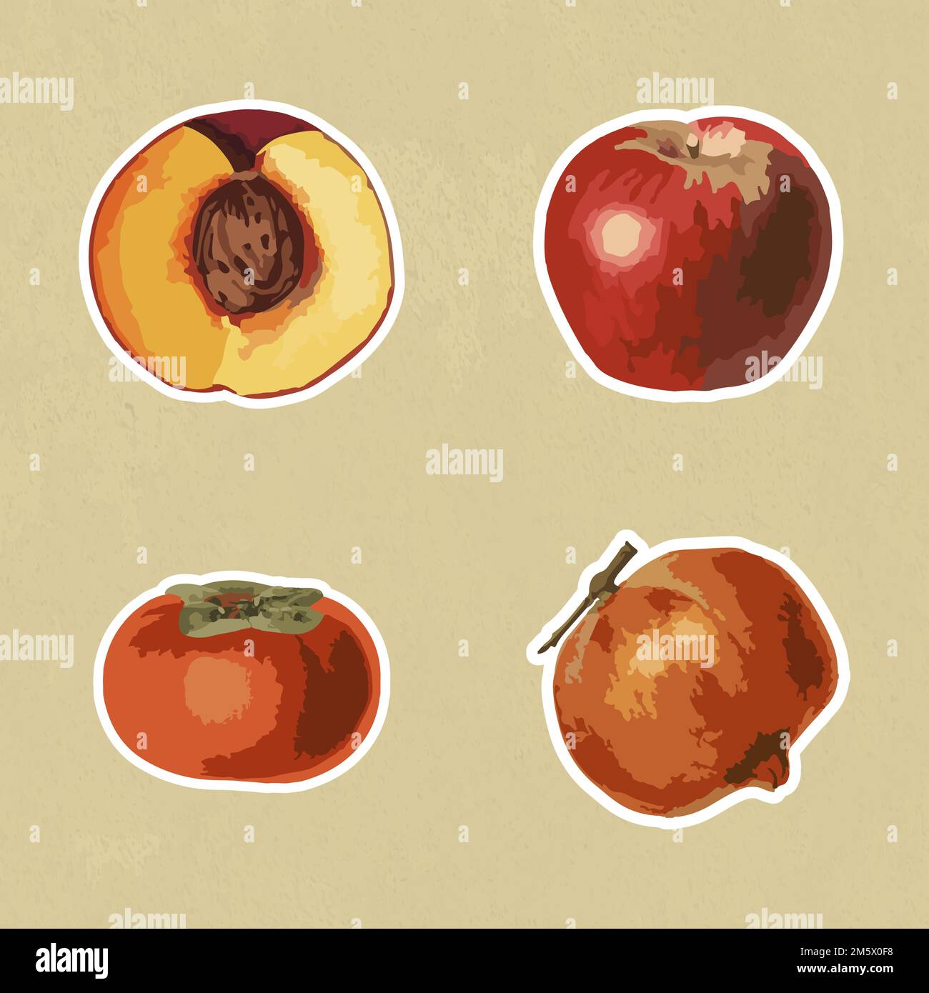 Vectorized tropical fruit sticker collection design elements Stock ...