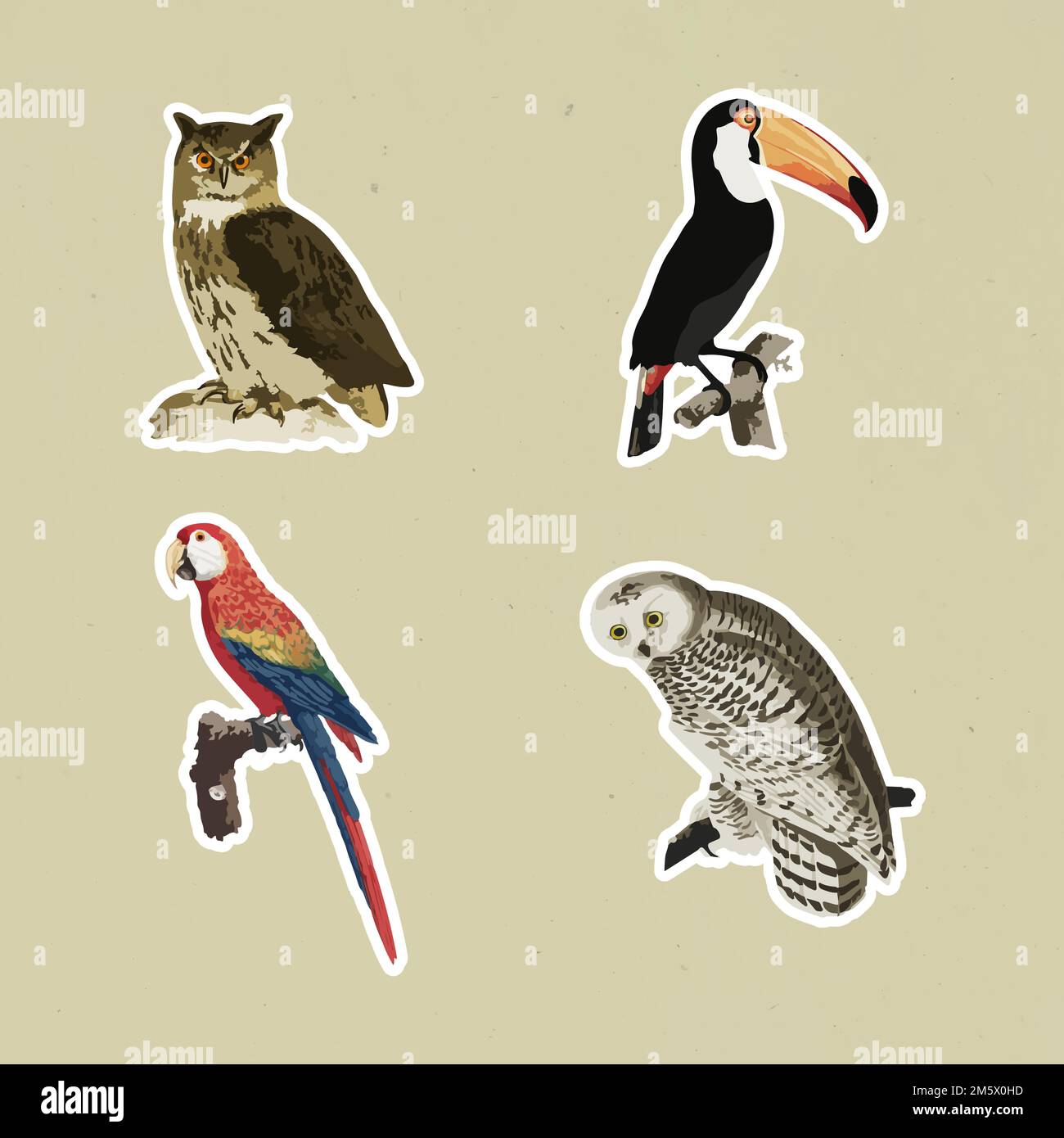 Vectorized mix vintage birds sticker with a white border Stock Vector ...