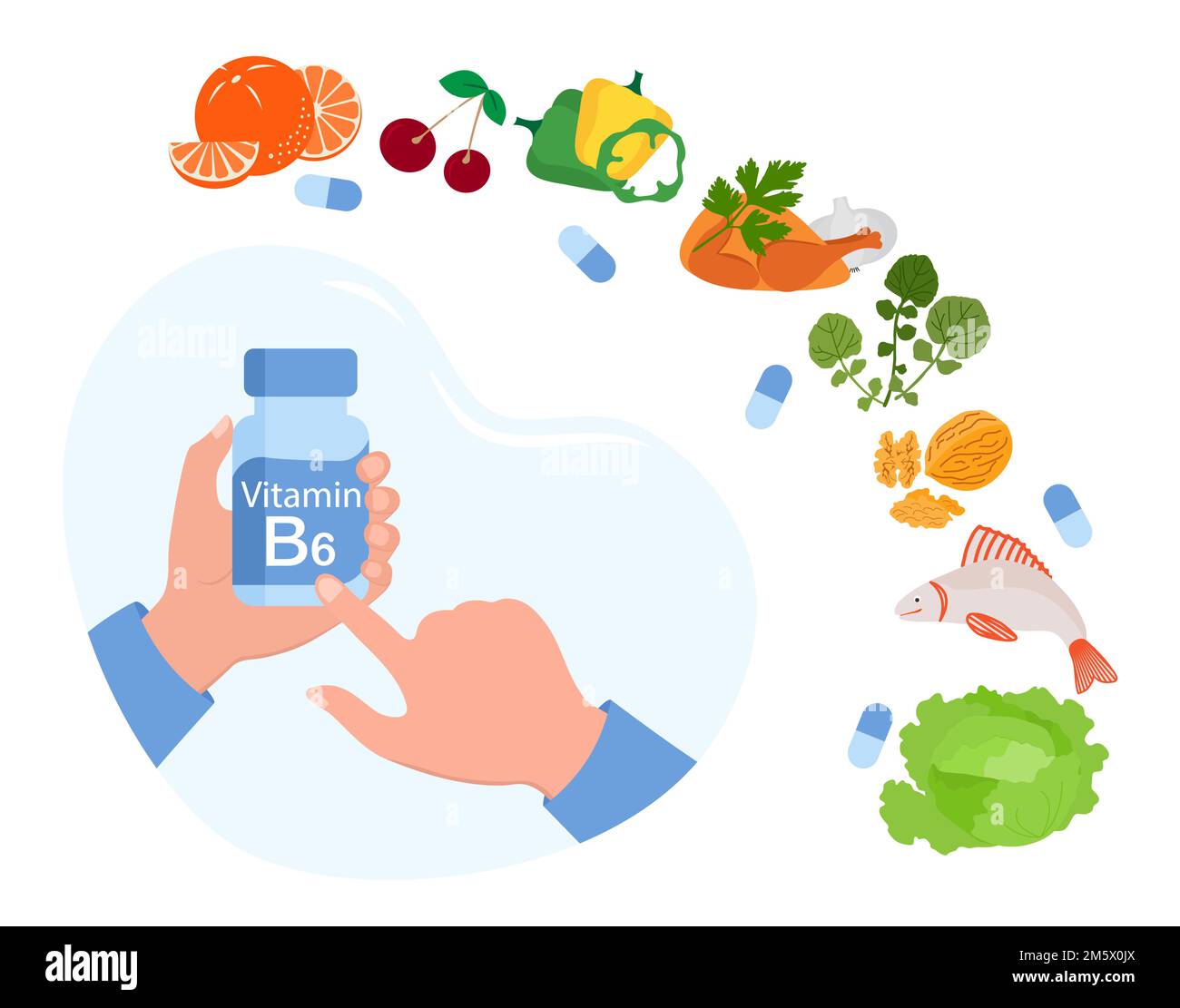 Vector illustration Hands holds bottle with supplement pills vitamin B6. Benefits of essential ...