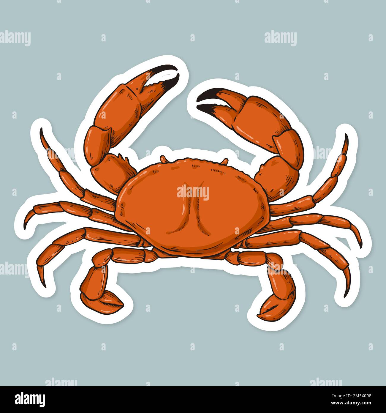 Vector cartoon sticker crab hand drawn vintage clipart Stock Vector ...