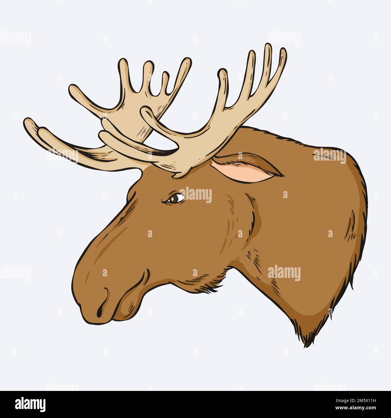 Vector vintage moose hand drawn clipart Stock Vector Image & Art - Alamy