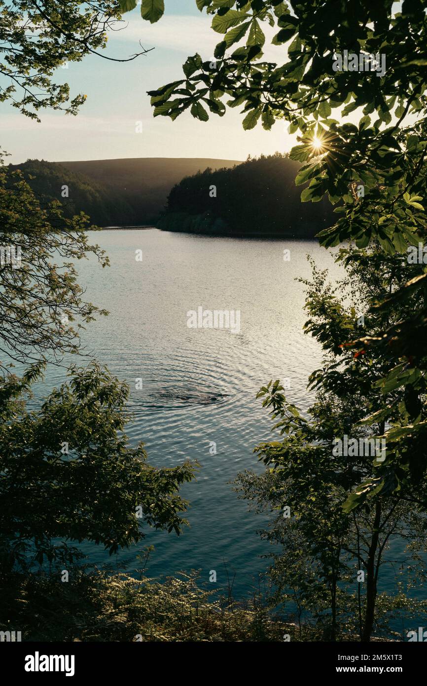 Wild Swimmer at Agden Reservoir, Yorkshire, UK Stock Photo - Alamy