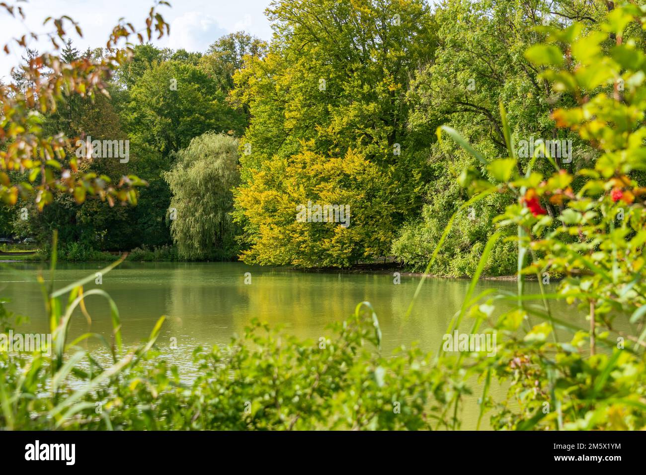 Autumn Scenery At Lake Hinterbruehl In Munich, Bavaria Stock Photo - Alamy