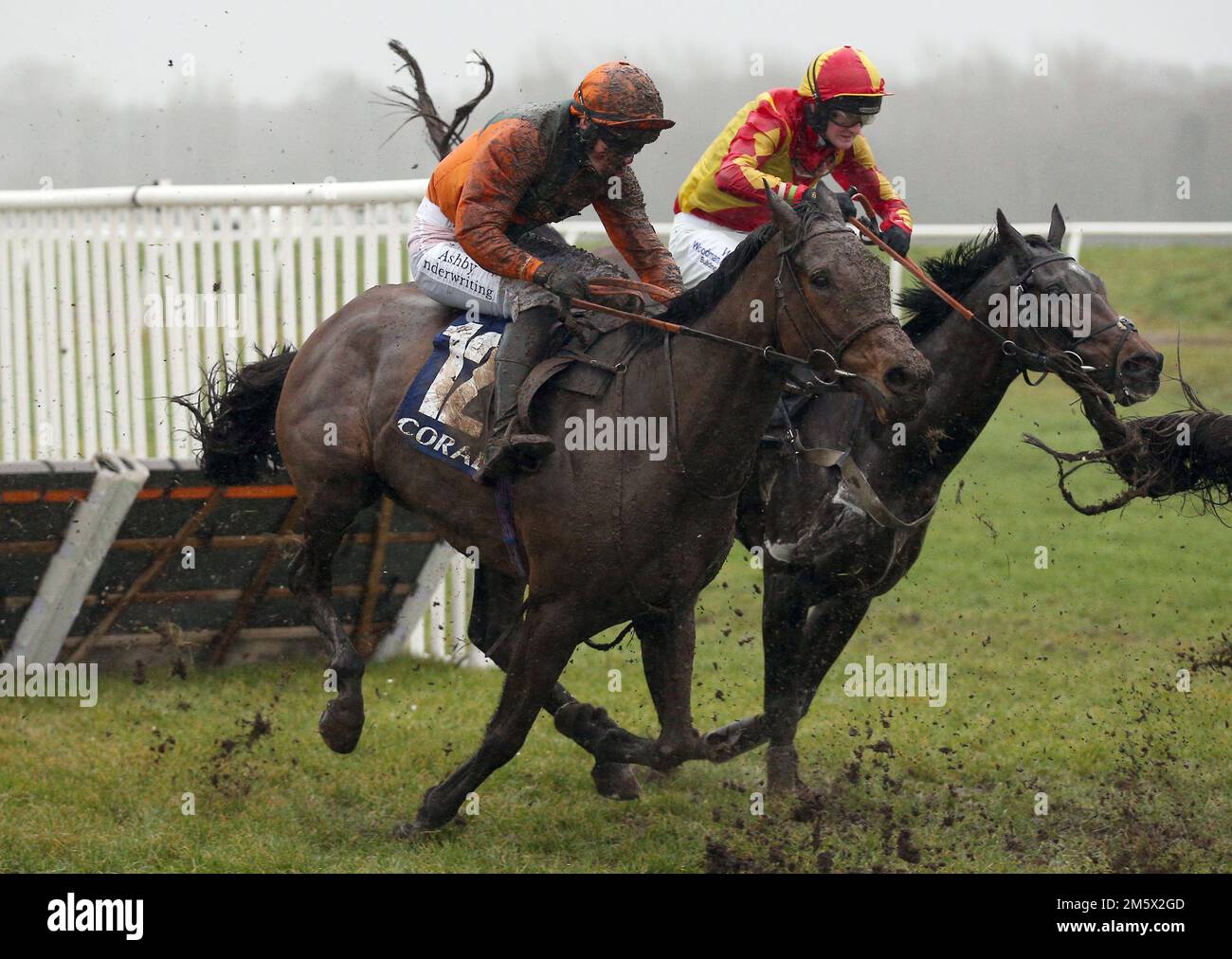 Blenkinsop horse hi-res stock photography and images - Alamy