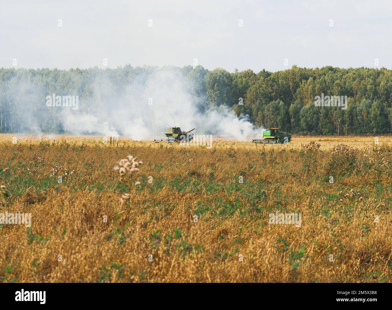 harvester combines working in field where its weed burning Stock Photo ...