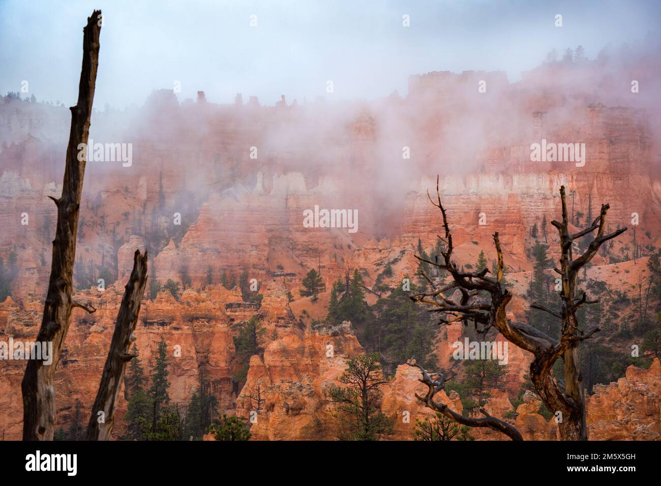canyon of bryce covered in clouds and rain Stock Photo - Alamy