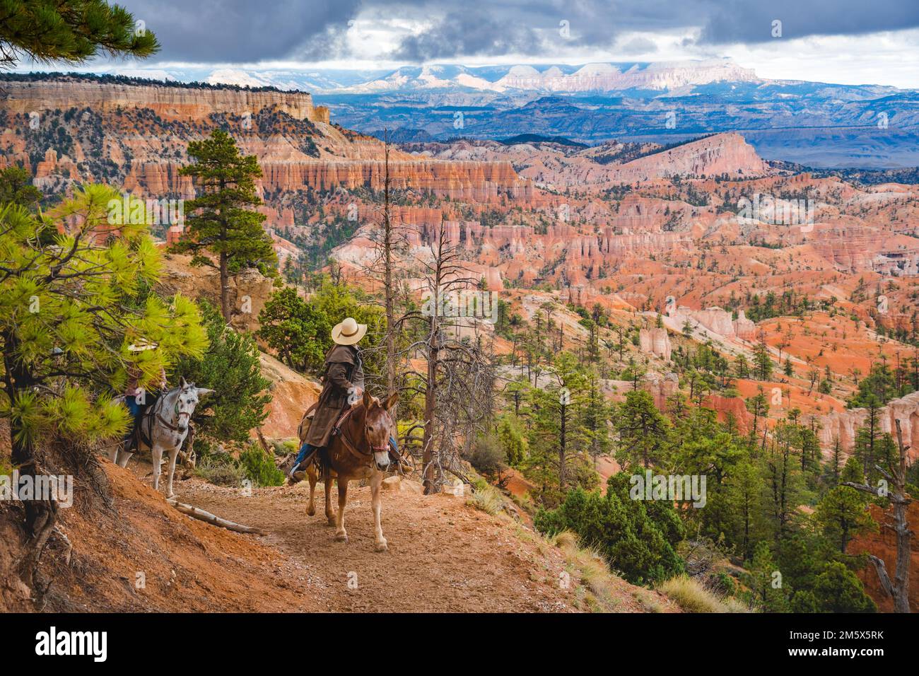 Riding horse up mountain hi-res stock photography and images - Alamy