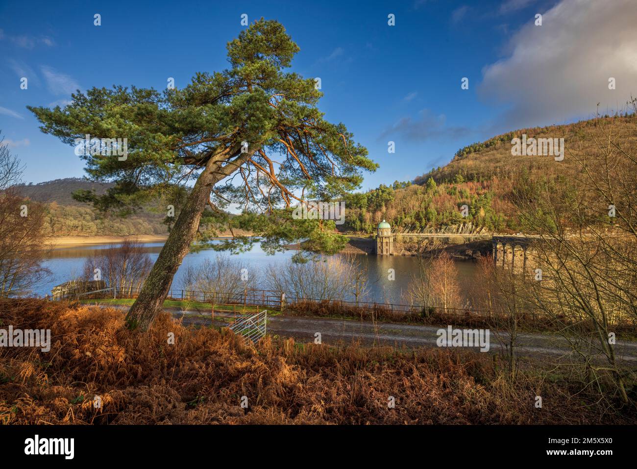 The domed valve tower and bridge of Garreg Ddu dam in the Elan Valley ...