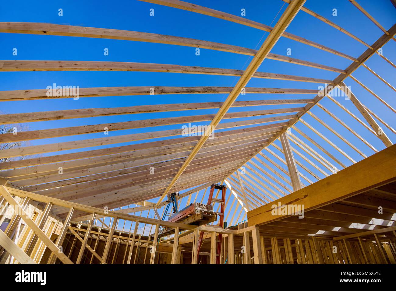 At wood framing beams that are being used in residential building ...