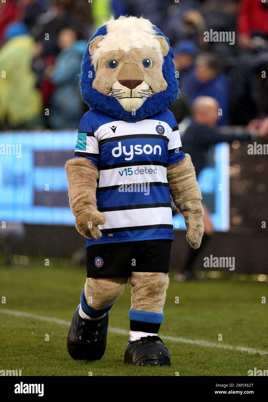 Bath Rugby Mascot, Maximus the Lion, looks on ahead of the Gallagher ...