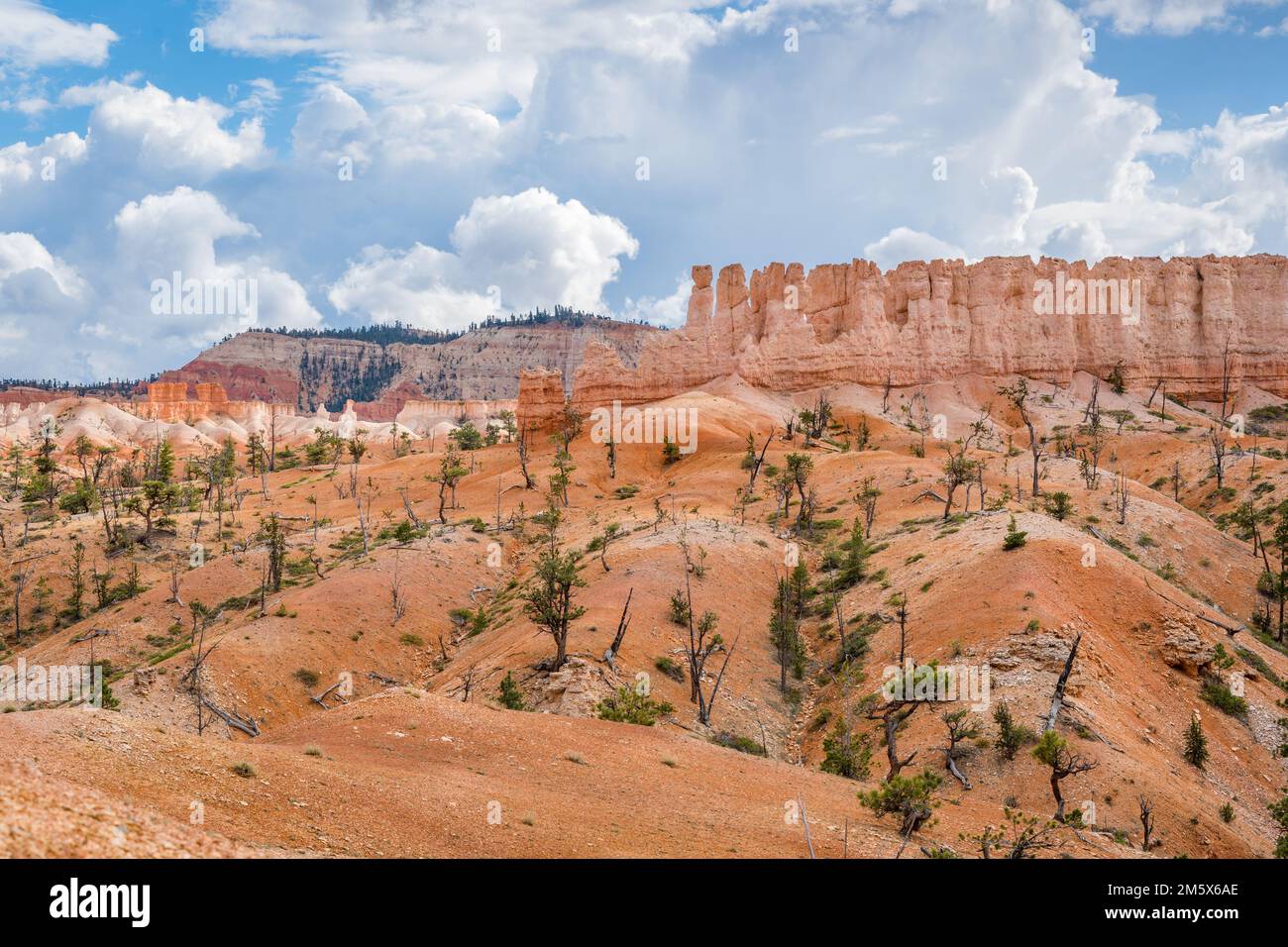 desert landscape with hoodoos at bryce canyon Stock Photo - Alamy