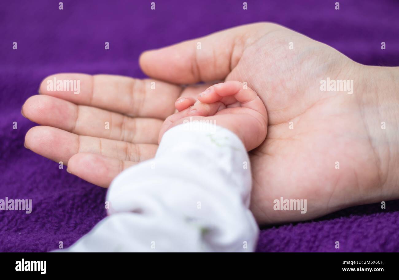 newborn hand laying at mother hand from flat angle Stock Photo - Alamy