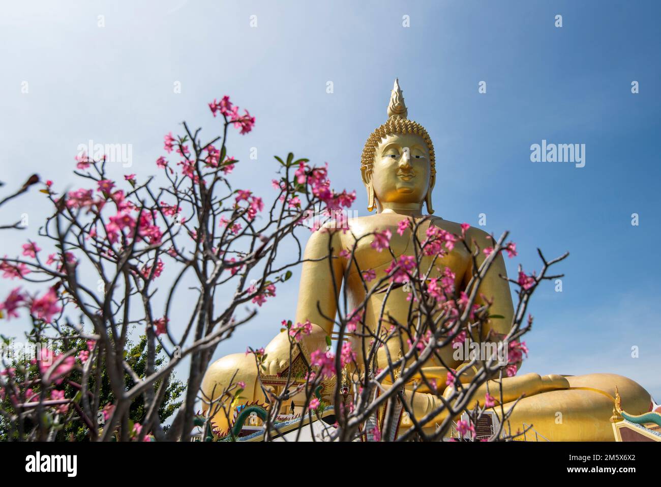the Wat Muang in the Village of Wiset Chai Chan in the Province of Ang ...