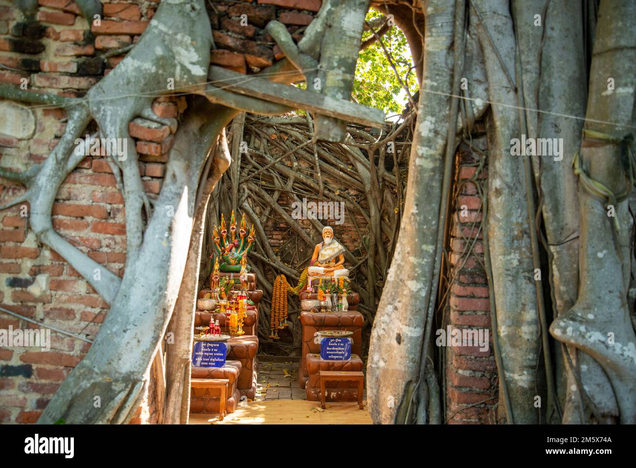 the Wat Sang Kratai in the City of Ang Thong in the Province of Ang Thong in Thailand, Thailand ...