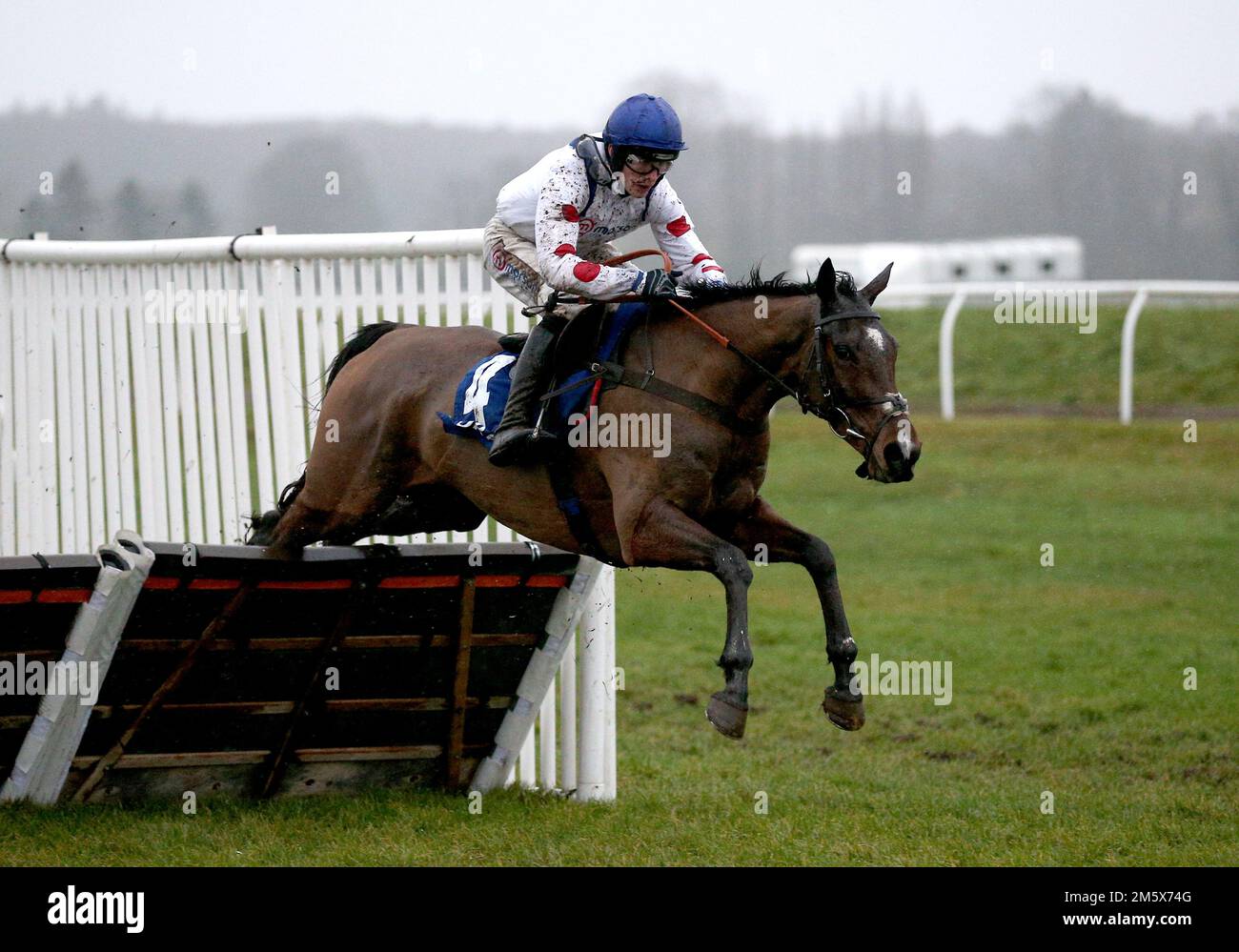 Hermes Allen ridden by Harry Cobden wins the Coral Challow Novices ...