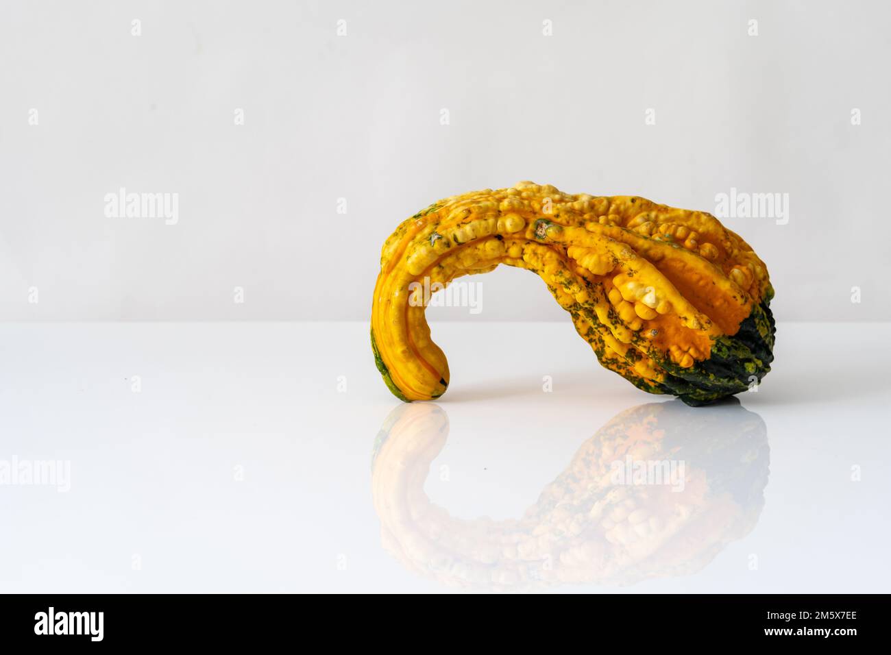 A yellow long Neck Gourd on white background with copy space Stock ...
