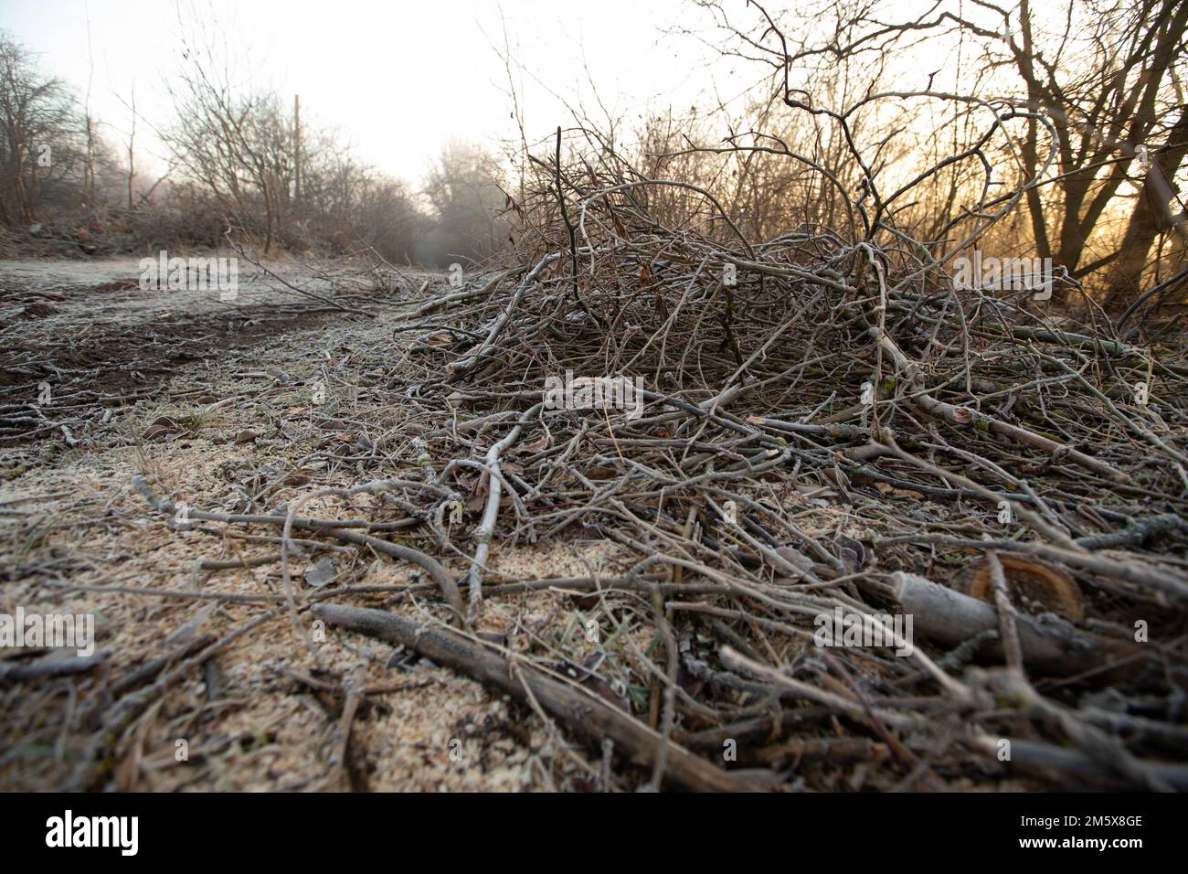 Wood for the environment hi-res stock photography and images - Alamy