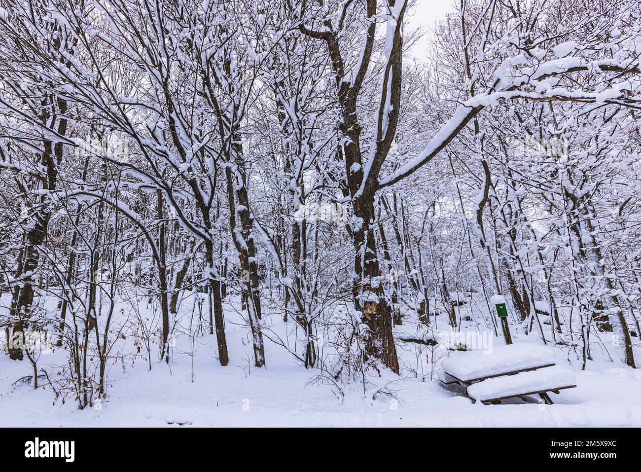 Breathtaking snow hi-res stock photography and images - Alamy