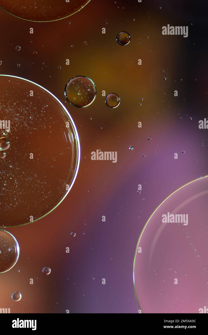 Abstract colourful bubbles. Soft background with purple violet colors ...