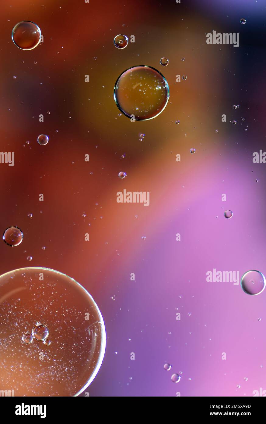 Abstract colourful bubbles. Soft background with orange and purple ...