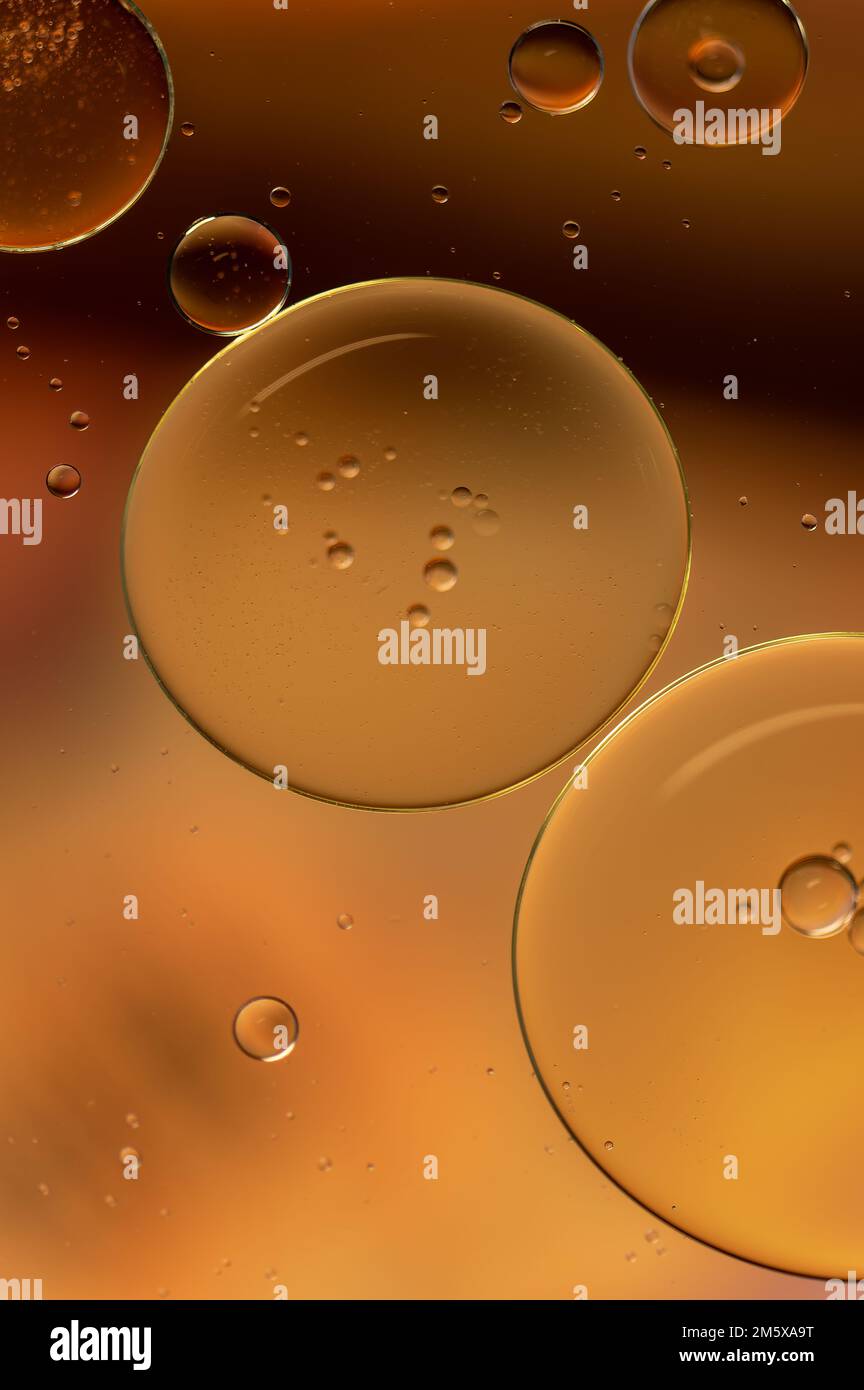 Abstract colourful bubbles. Soft background orange sunrise and sunset ...
