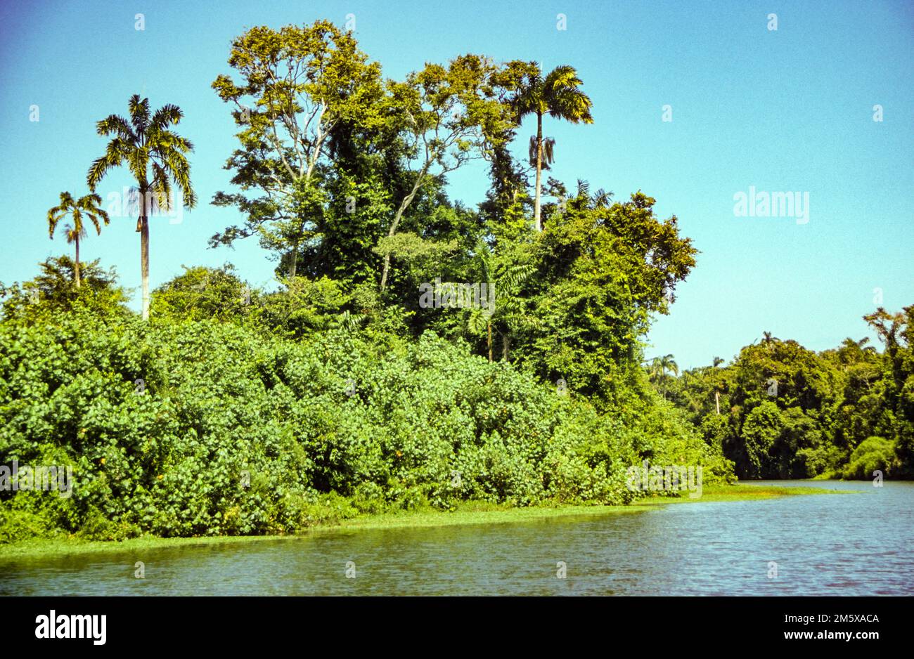 Honduras. Boca Cerrada Coastal Waterway Stock Photo - Alamy