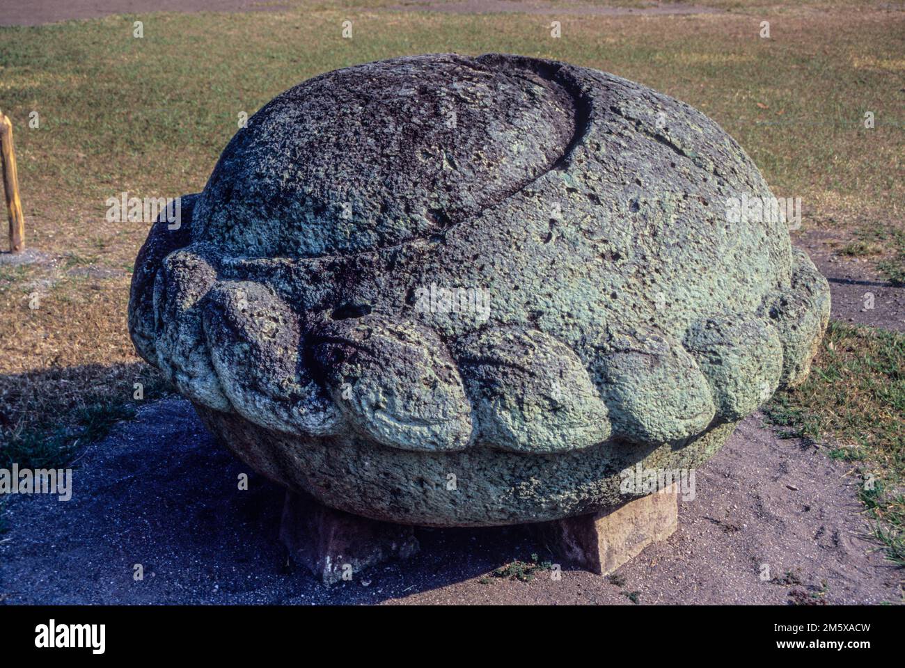 Honduras, Copan Ruins. Stone Altar used for Human Sacrifice Stock Photo ...