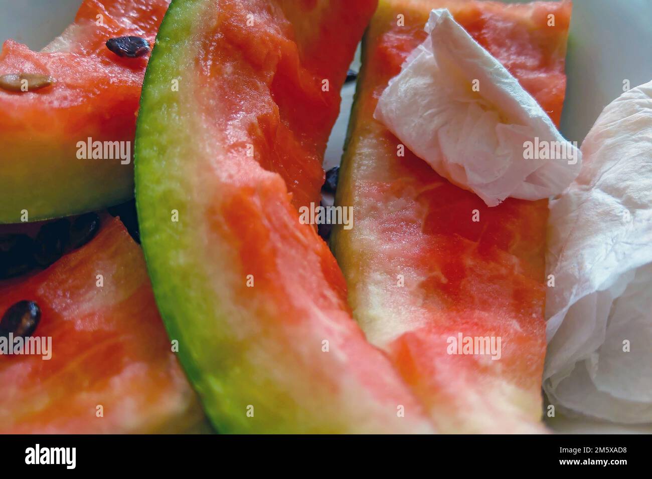 Bark watermelon hi-res stock photography and images - Alamy