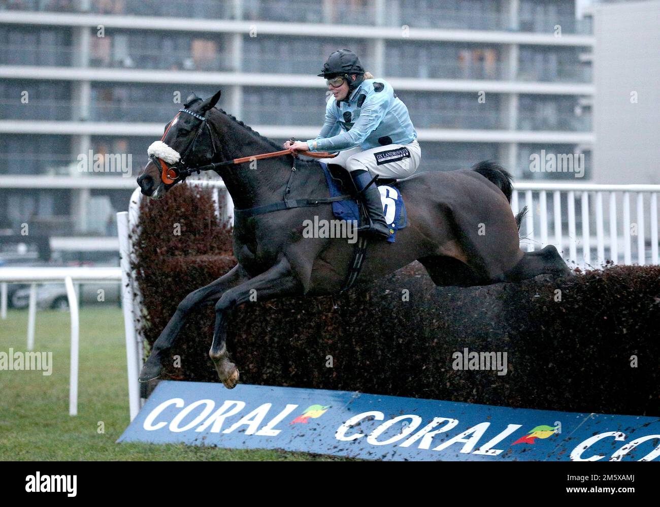 Lilly pinchin hi-res stock photography and images - Alamy