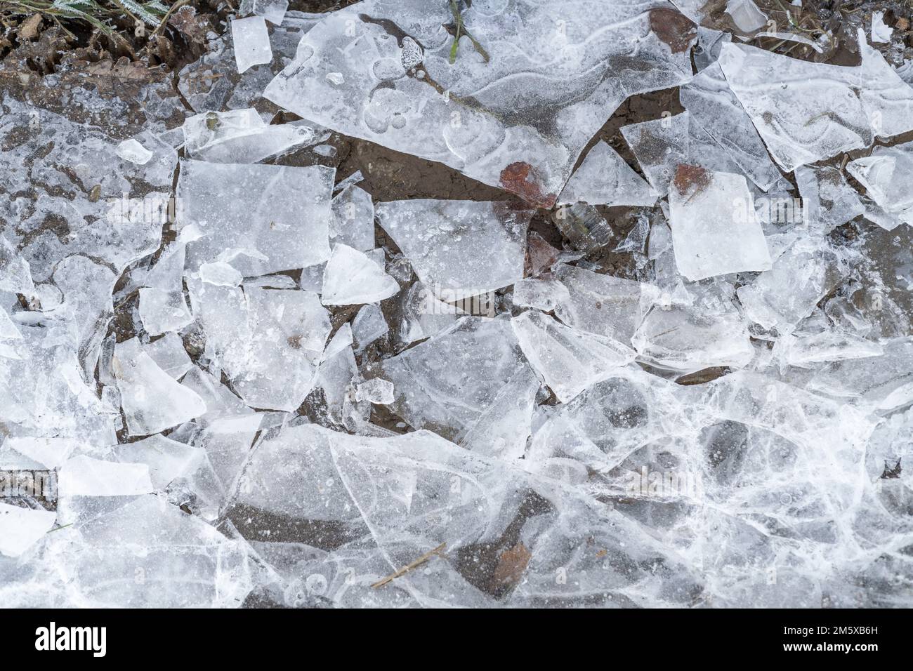 Breaking ice on frozen puddle hi-res stock photography and images - Alamy