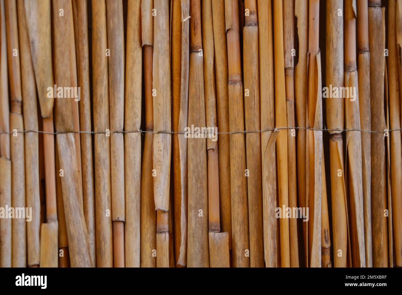 Bamboo structure hi-res stock photography and images - Alamy