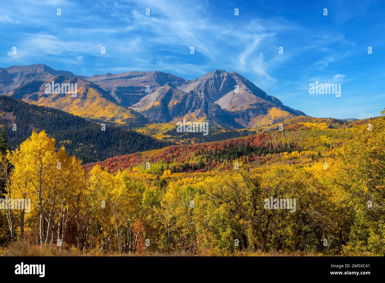 Fall color in blue ridge mountains hi-res stock photography and images ...