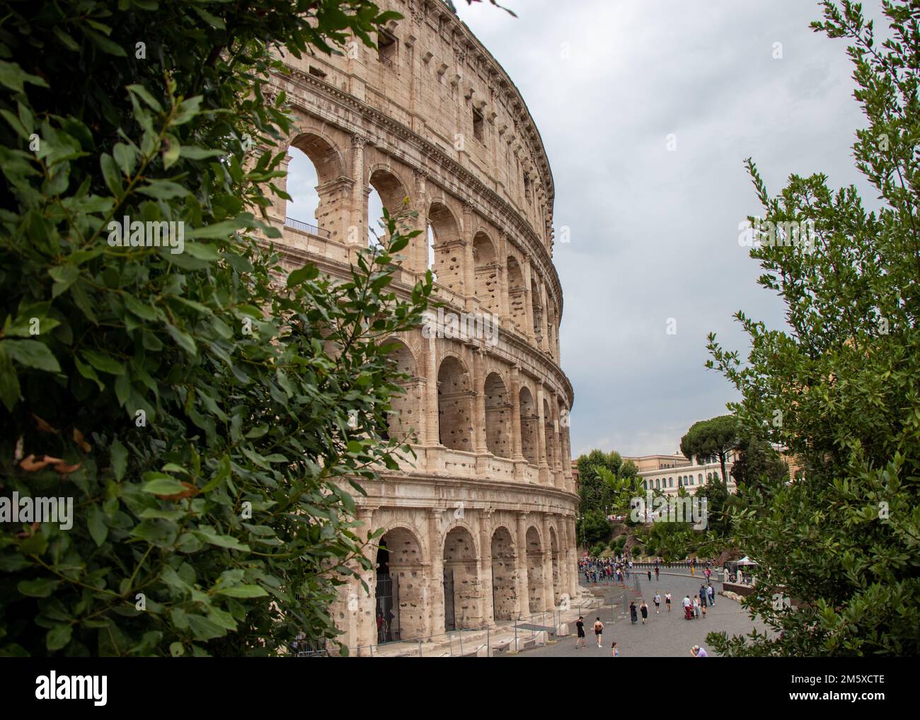 The Colosseum side view in Rome, Italy Stock Photo - Alamy