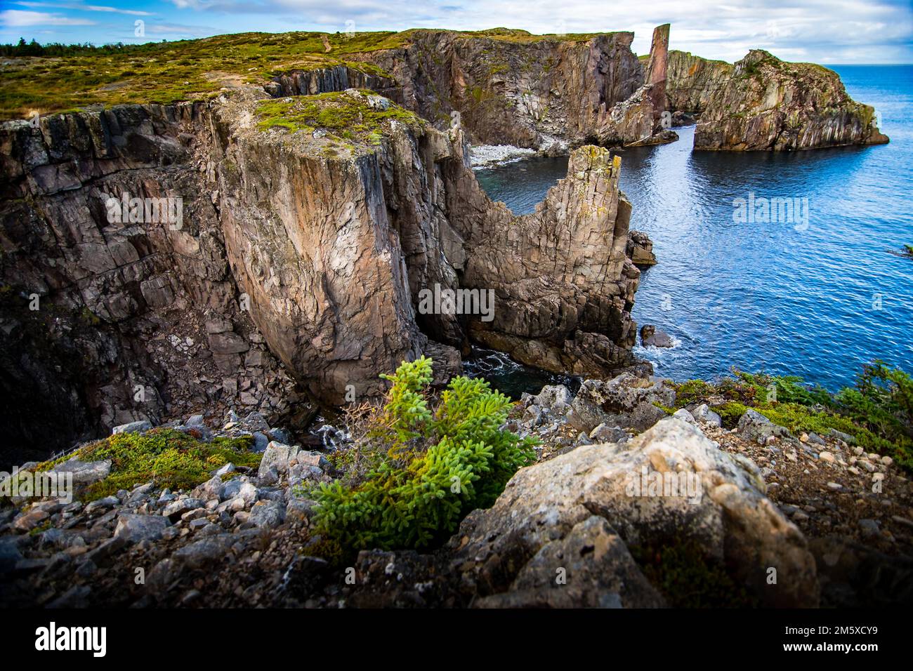 Codjack cove trail hi-res stock photography and images - Alamy