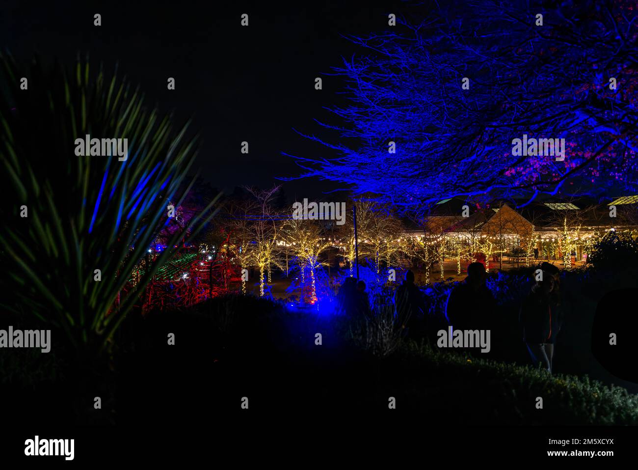 Rhs glow 2022 at wisley hi-res stock photography and images - Alamy
