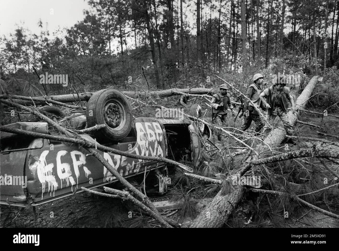 The army move in after EGP guerrillas cut trees on the Pan Am highway ...