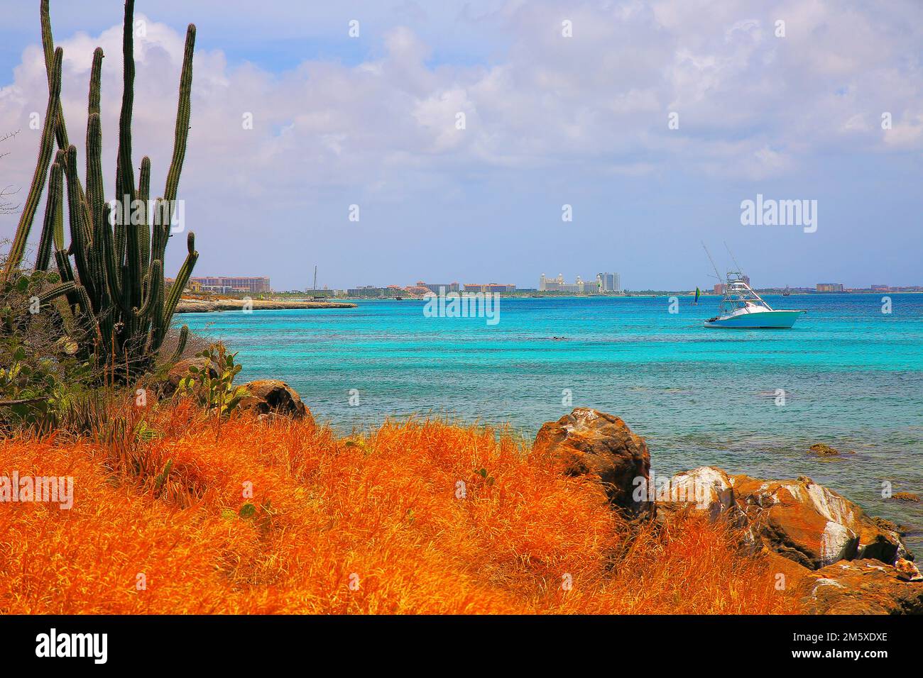 Secluded turquoise beach in Aruba, Caribbean Blue sea, Duth Antilles ...