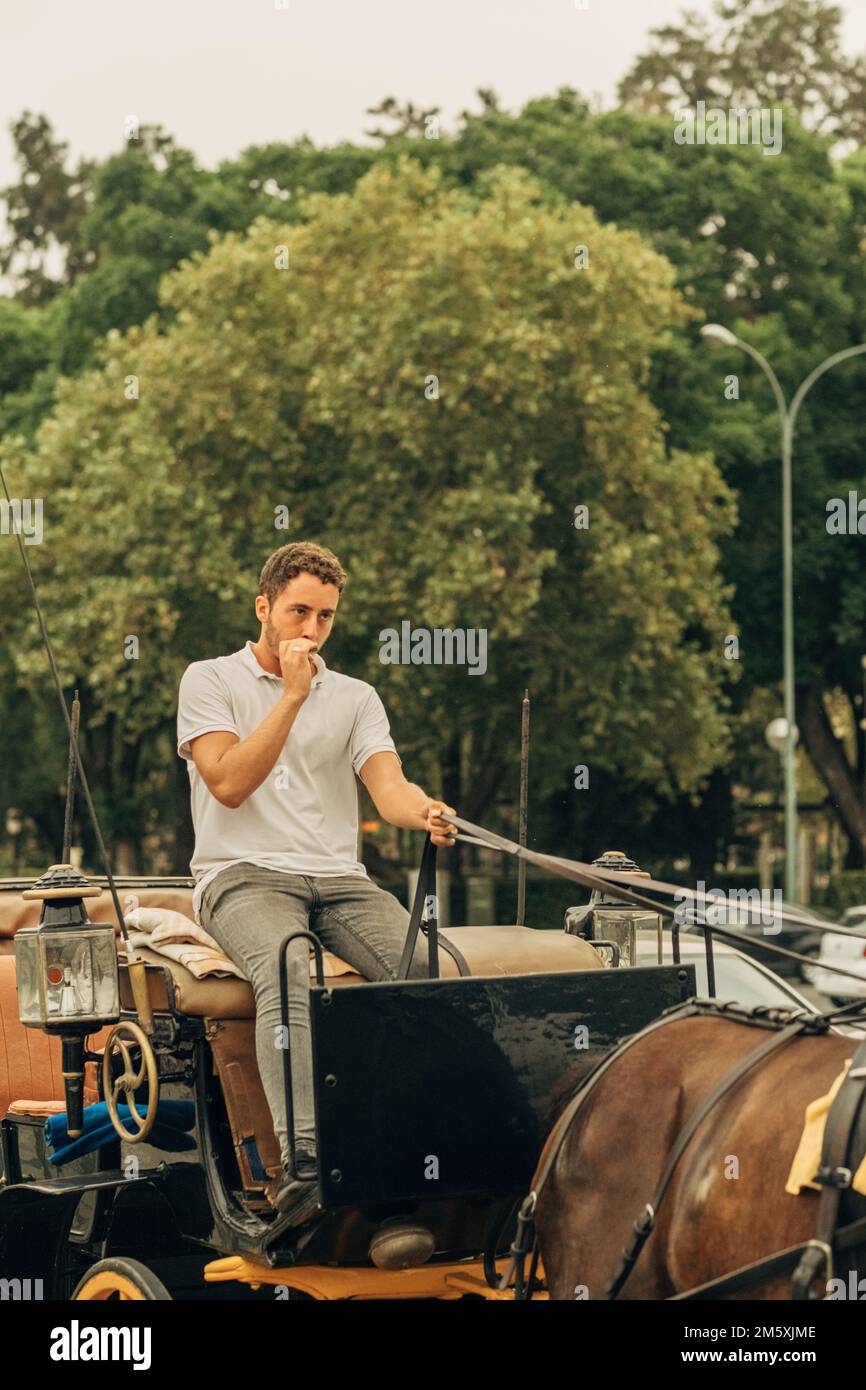A vertical shot of a man riding a carriage in Seville, Spain Stock ...