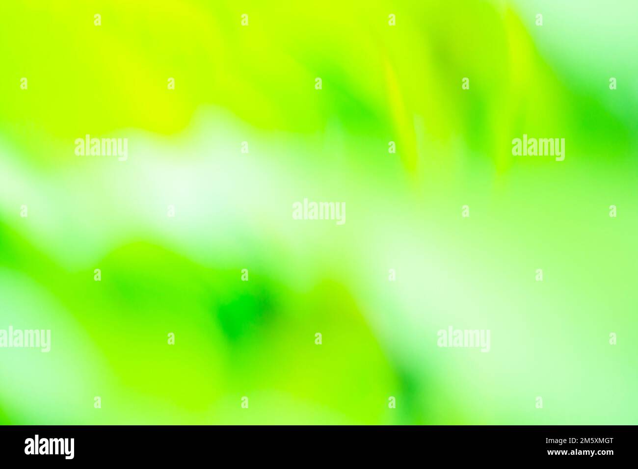 Bokeh green lights on texture. Blurred motion out of focus green ...