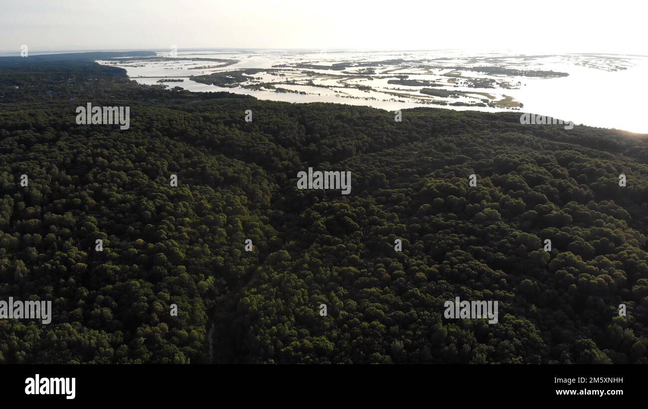 Khabarovsk forest russia hi-res stock photography and images - Alamy