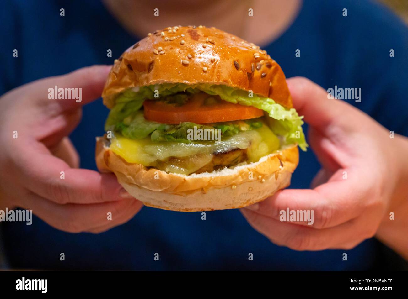 Chicken burger spinach hi-res stock photography and images - Alamy