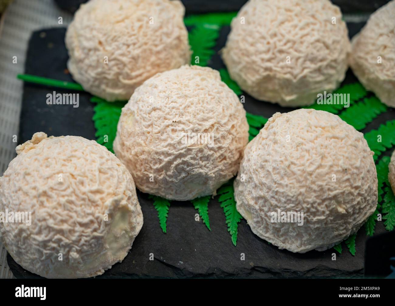 Cheese collection, french goat cheese from Vezelay, Burgundy region ...