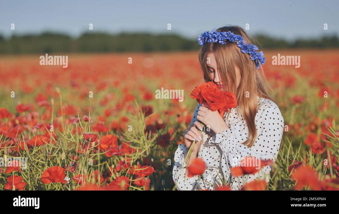 Ukrainian girl collecting and smelling a bouquet of poppies in a field ...