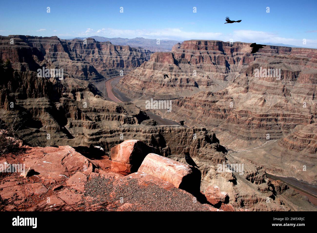 West Rim Grand Canyon Stock Photo - Alamy