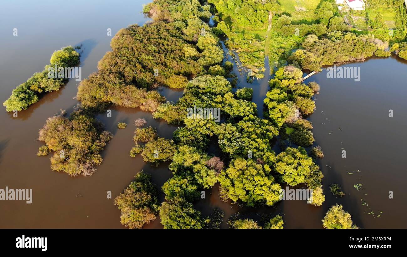 Nature on the Amur River in Russia. Aerial view Stock Photo - Alamy